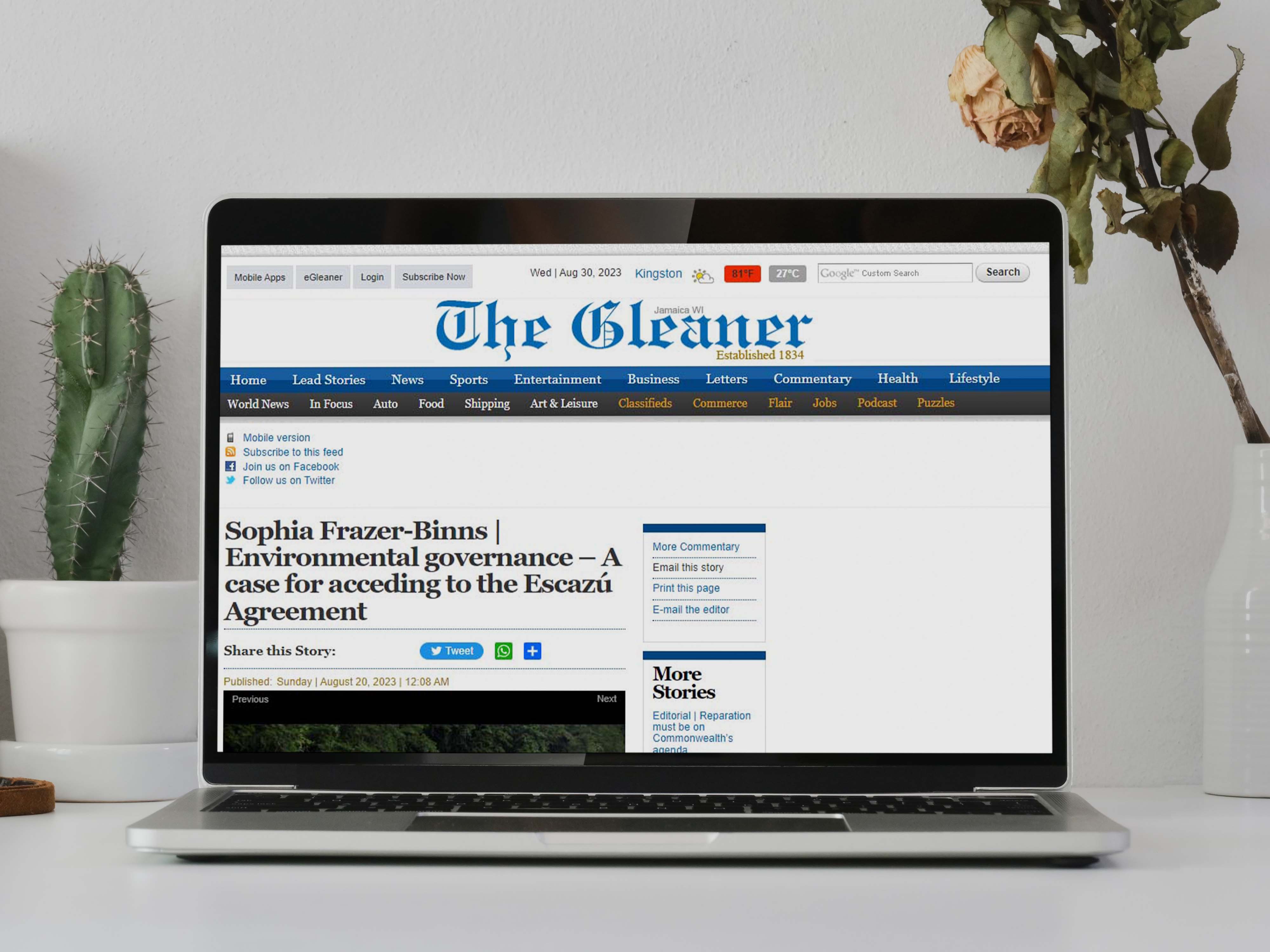 OP-ED: Jamaican Senator Sophia Frazer-Binns on Environmental governance ...